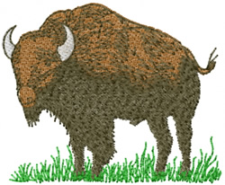 Buffalo Embroidery Design | EmbroideryDesigns.com