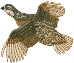 QUAIL Embroidery Design | EmbroideryDesigns.com