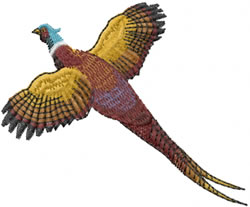 PHEASANT Embroidery Design | EmbroideryDesigns.com