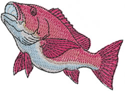 Red Snapper Embroidery Design | EmbroideryDesigns.com