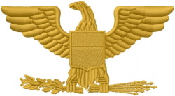 ARMY COLONEL EAGLE Embroidery Design | EmbroideryDesigns.com
