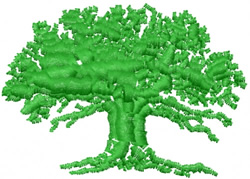 Oak Tree Embroidery Design | EmbroideryDesigns.com