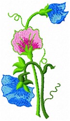 Sweet Pea Embroidery Design | EmbroideryDesigns.com