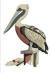Brown Pelican Embroidery Design | EmbroideryDesigns.com
