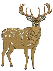 Stag Embroidery Design | EmbroideryDesigns.com