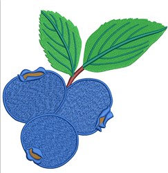 Blueberries Embroidery Design | EmbroideryDesigns.com