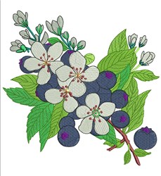 Blueberries Embroidery Design | EmbroideryDesigns.com