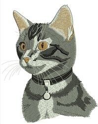 Grey Tabby Cat Embroidery Design | EmbroideryDesigns.com