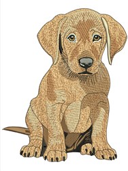 Labrador Embroidery Design | EmbroideryDesigns.com