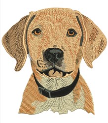 Labrador Retriever Embroidery Design | EmbroideryDesigns.com
