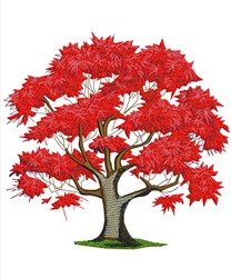 Red Maple Tree Embroidery Design | EmbroideryDesigns.com