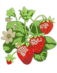 Strawberry Blooms Embroidery Design | EmbroideryDesigns.com