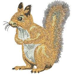 Squirrel Embroidery Design | EmbroideryDesigns.com