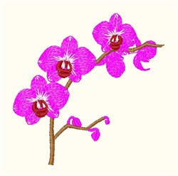 Orchid Blooms Embroidery Design | EmbroideryDesigns.com