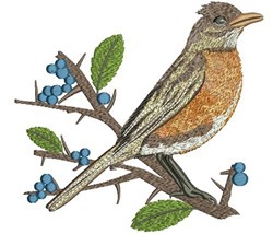 American Robin Embroidery Design | EmbroideryDesigns.com