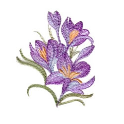 Variegated Crocus Embroidery Design | EmbroideryDesigns.com
