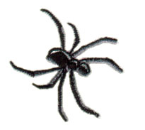 Black Spider Embroidery Design | EmbroideryDesigns.com
