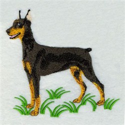 Realistic Doberman Embroidery Design | EmbroideryDesigns.com