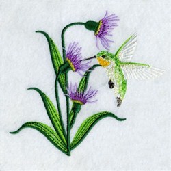 Realistic Hummingbird Embroidery Design | EmbroideryDesigns.com