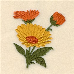 Marigolds Embroidery Design | EmbroideryDesigns.com