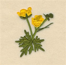 Meadow Buttercup Embroidery Design | EmbroideryDesigns.com