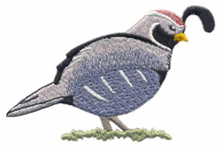 California Valley Quail Embroidery Design | EmbroideryDesigns.com