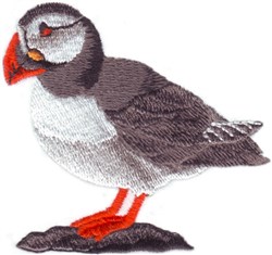 Atlantic Puffin Embroidery Design | EmbroideryDesigns.com