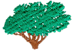 Cedar Tree Embroidery Design | EmbroideryDesigns.com