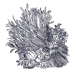 Free Fall Harvest Bundle Embroidery Design | EmbroideryDesigns.com