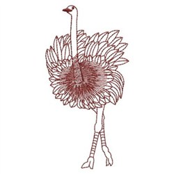 Redwork Ostrich Embroidery Design | EmbroideryDesigns.com