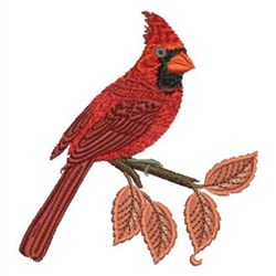 Cardinal Embroidery Design | EmbroideryDesigns.com