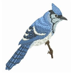 Blue Jay Embroidery Design | EmbroideryDesigns.com