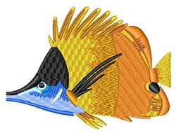 Blue Gold Tang Embroidery Design | EmbroideryDesigns.com