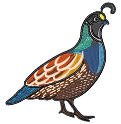 Strutting Quail Embroidery Design | EmbroideryDesigns.com