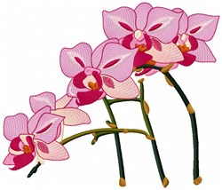 Orchids Embroidery Design | EmbroideryDesigns.com