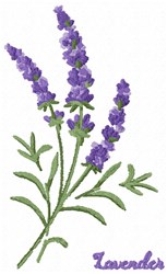 Lavender Embroidery Design | EmbroideryDesigns.com