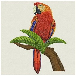 Parrot Embroidery Design | EmbroideryDesigns.com
