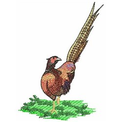 Pheasant Embroidery Design | EmbroideryDesigns.com