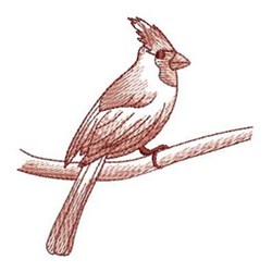 Sketched Cardinal Webbed In Branch Embroidery Design ...