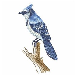 Watercolor Blue Jay Embroidery Design | EmbroideryDesigns.com
