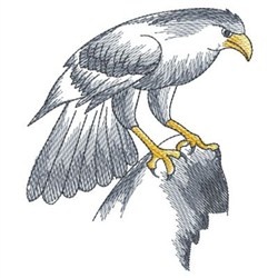 Sketched Hawk Embroidery Design | EmbroideryDesigns.com