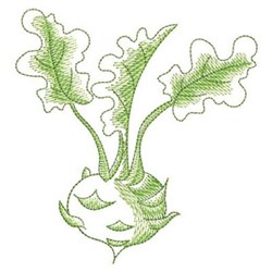 Sketched Realistic Cabbage Embroidery Design | EmbroideryDesigns.com