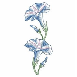 Morning Glory Embroidery Design | EmbroideryDesigns.com
