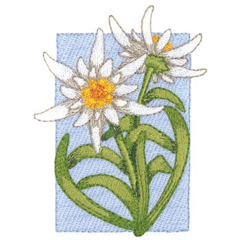 edelweiss | Embroidery: Florals | Pinterest | Patterns