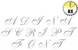 Adina Script Embrilliance by Daydream Designs on EmbroideryDesigns.com ...