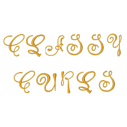 Classy Curls Font by Embroidery Patterns Home Format Fonts on ...