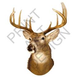 White Tail Buck print art print art at EmbroideryDesigns.com ...