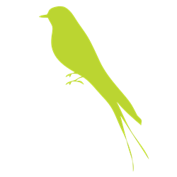 Swallowtail SVG cut file at EmbroideryDesigns.com | EmbroideryDesigns.com