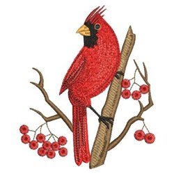 Cardinal Embroidery Design | EmbroideryDesigns.com