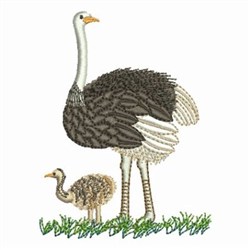 Ostrich Embroidery Design | EmbroideryDesigns.com